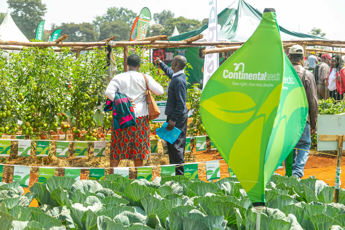 Continental Seeds - Your partner for high quality vegetable seeds ...